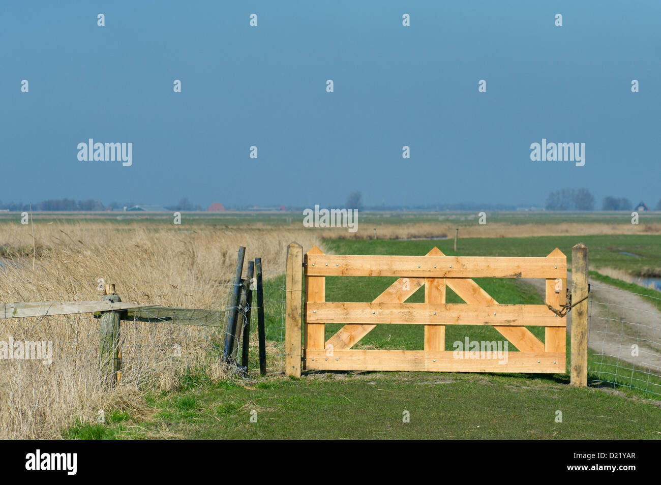 Dutch landscape with closed wooden fence in the meadows Stock Photo - Alamy