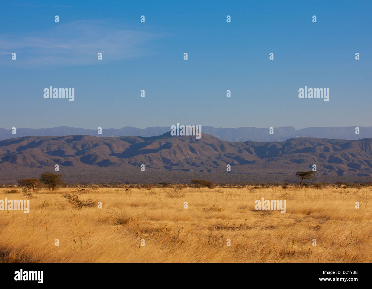 Awash National Parl, Afar Region, Ethiopia Stock Photo - Alamy