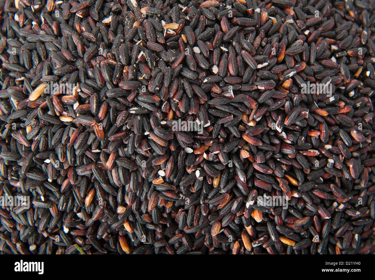 "forbidden rice" 'black rice' 'purple rice' Stock Photo - Alamy