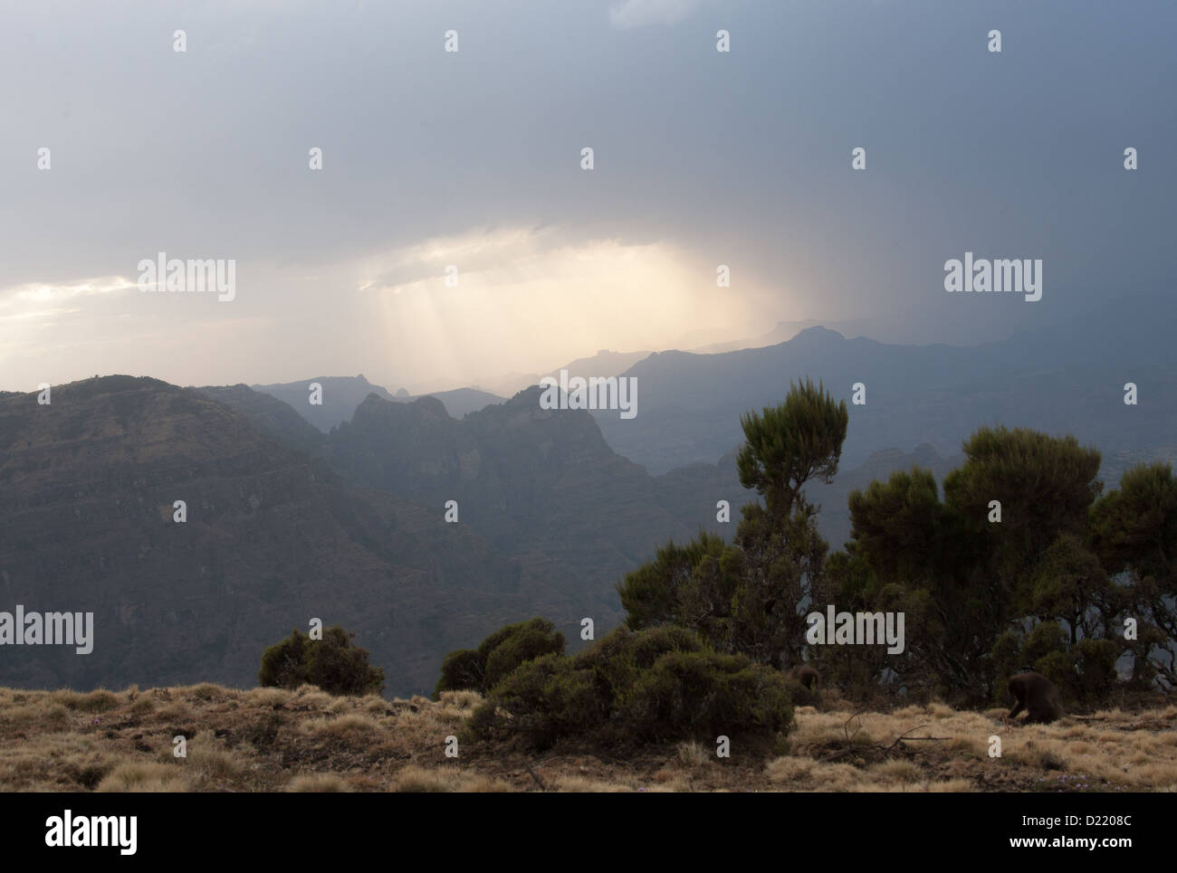 Semian hi-res stock photography and images - Alamy
