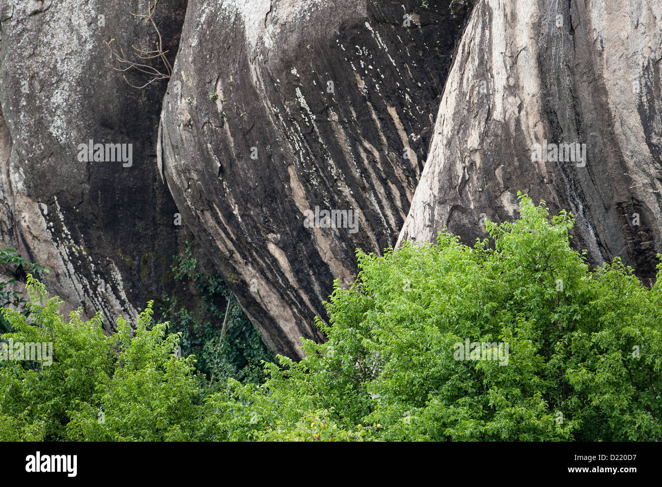 Kopje hi-res stock photography and images - Alamy