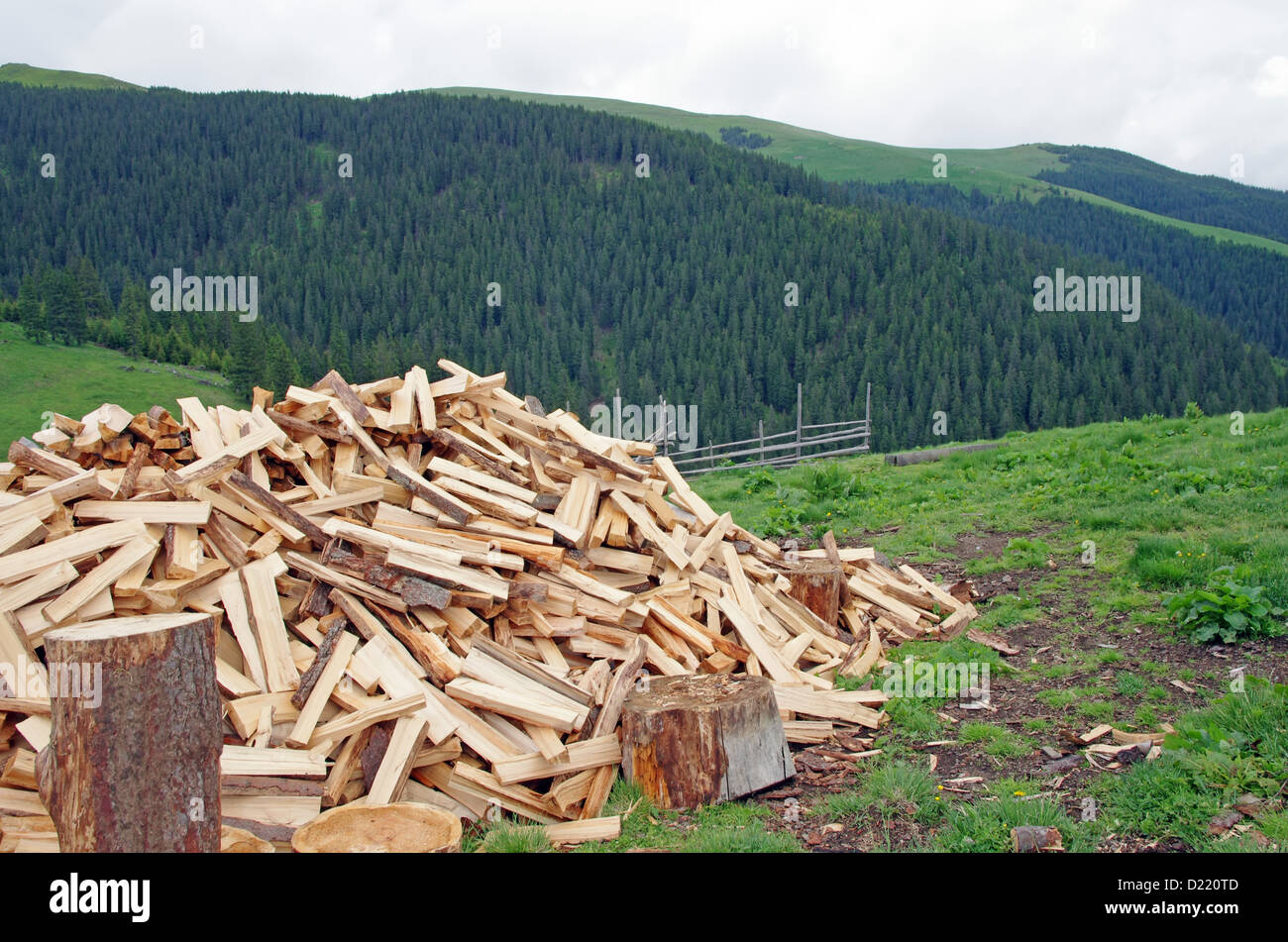 Wood pile with the forest behind, mountain landscape Stock Photo - Alamy