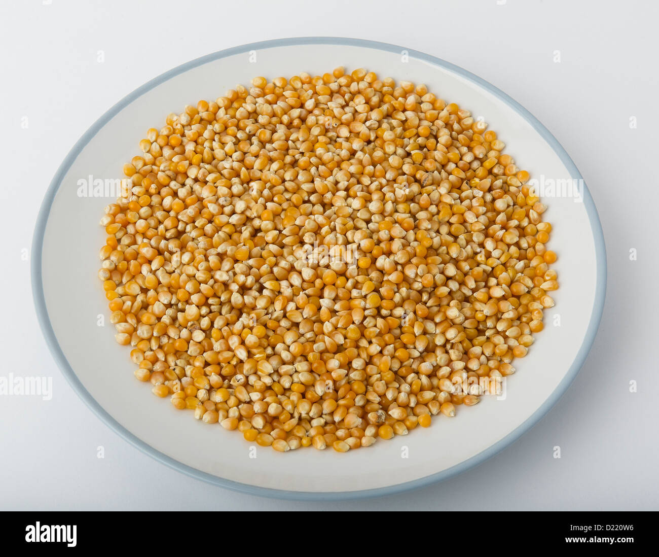 corn Maize kernels Stock Photo - Alamy