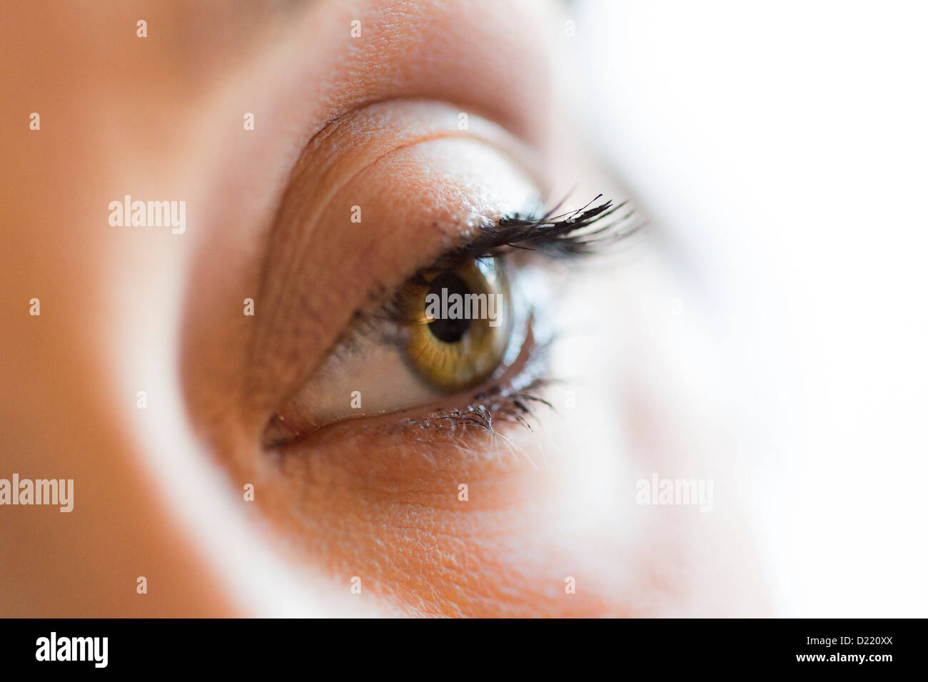 Female eye close up Stock Photo - Alamy