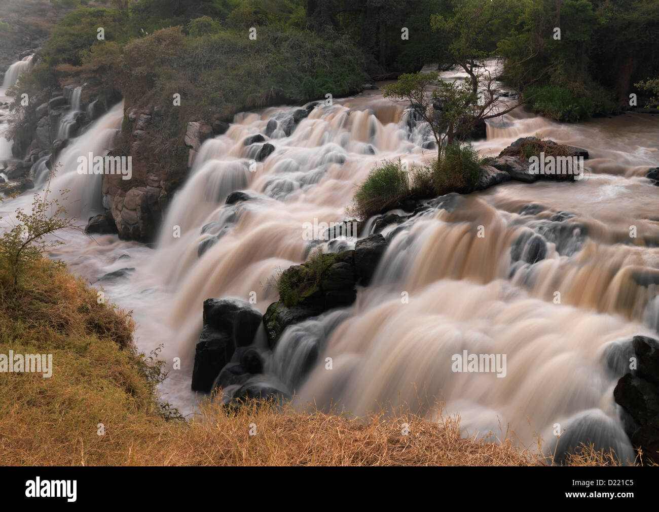 River At Awash National Parl, Afar Region, Ethiopia Stock Photo - Alamy
