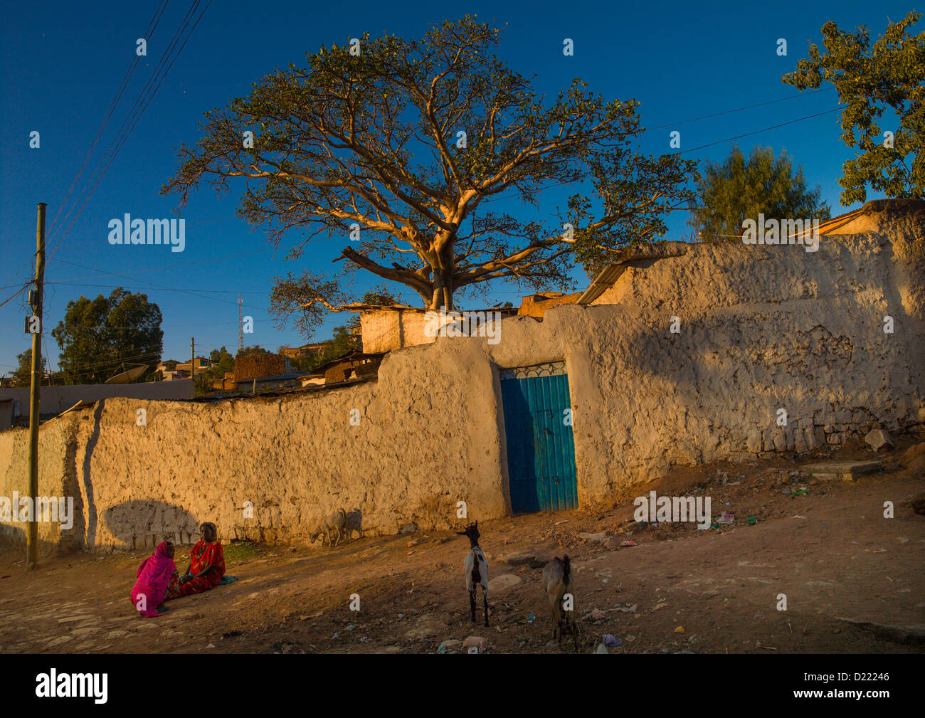 Old City, Harar, Ethiopia Stock Photo - Alamy