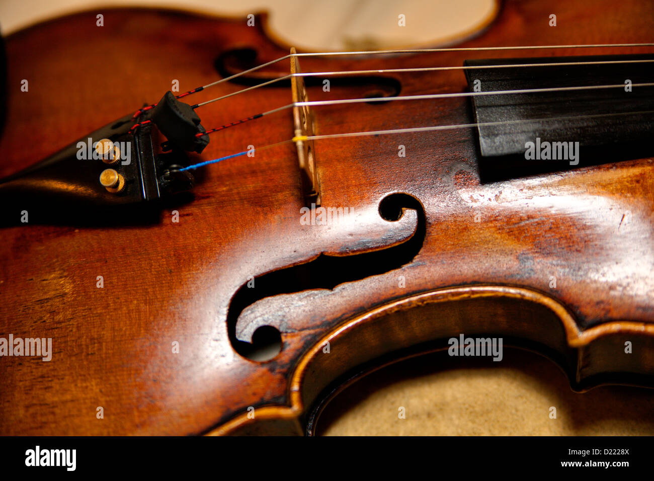 Violin close up Stock Photo - Alamy