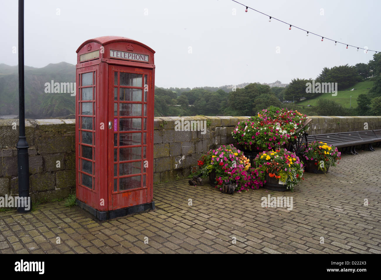 Telephone box and flowers Stock Photo - Alamy