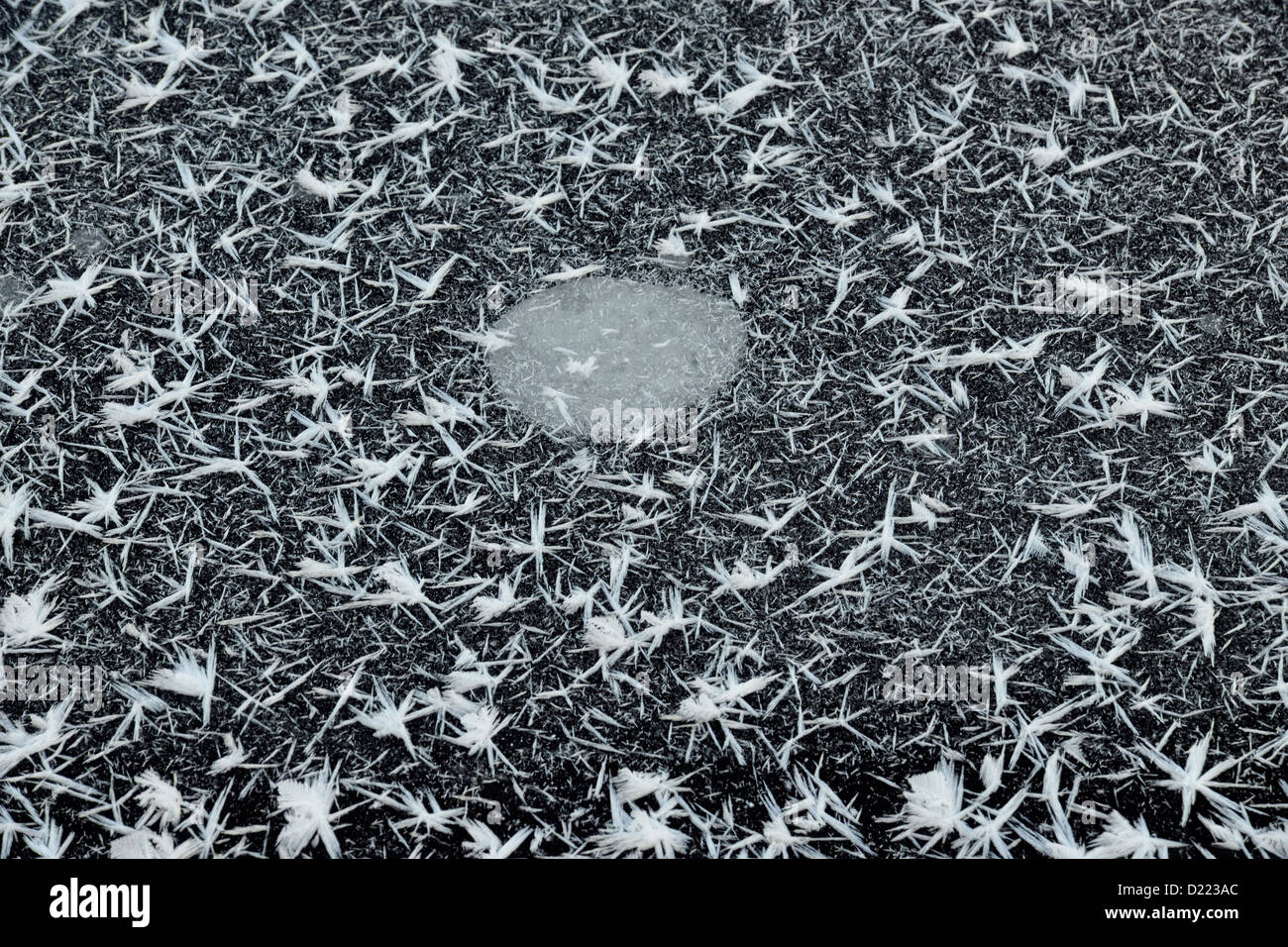 Ice patterns beaver pond hi-res stock photography and images - Alamy