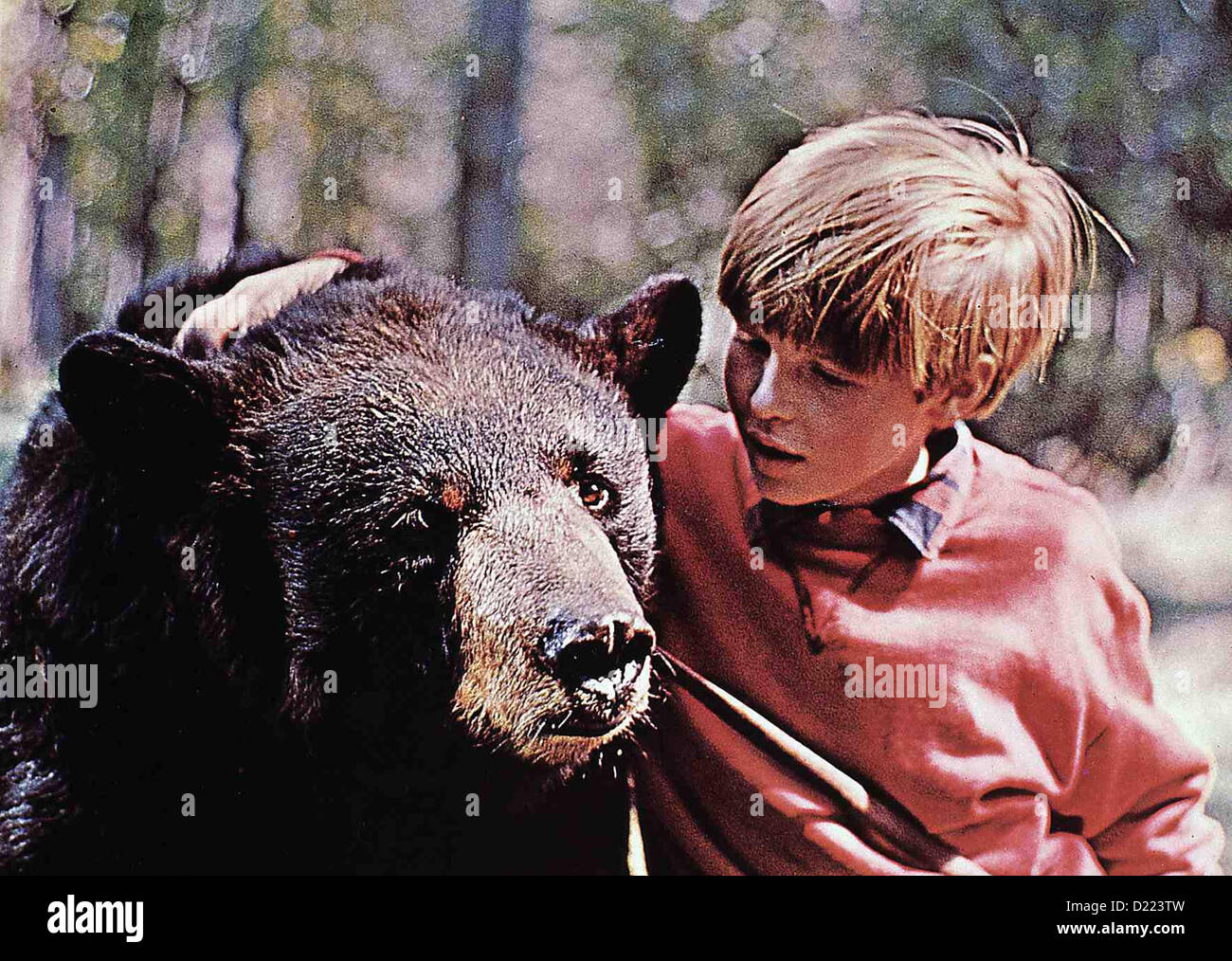 Ein Jahr Als Robinson My Side Mountain Teddy Eccles Sam (Teddy Eccles ...