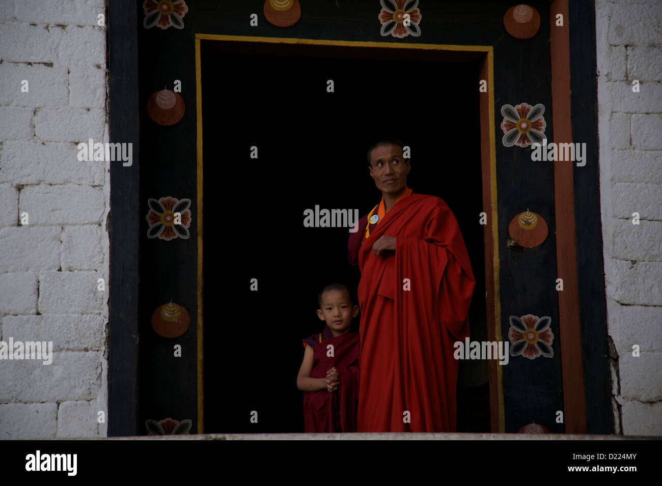 Lama baby hi-res stock photography and images - Alamy