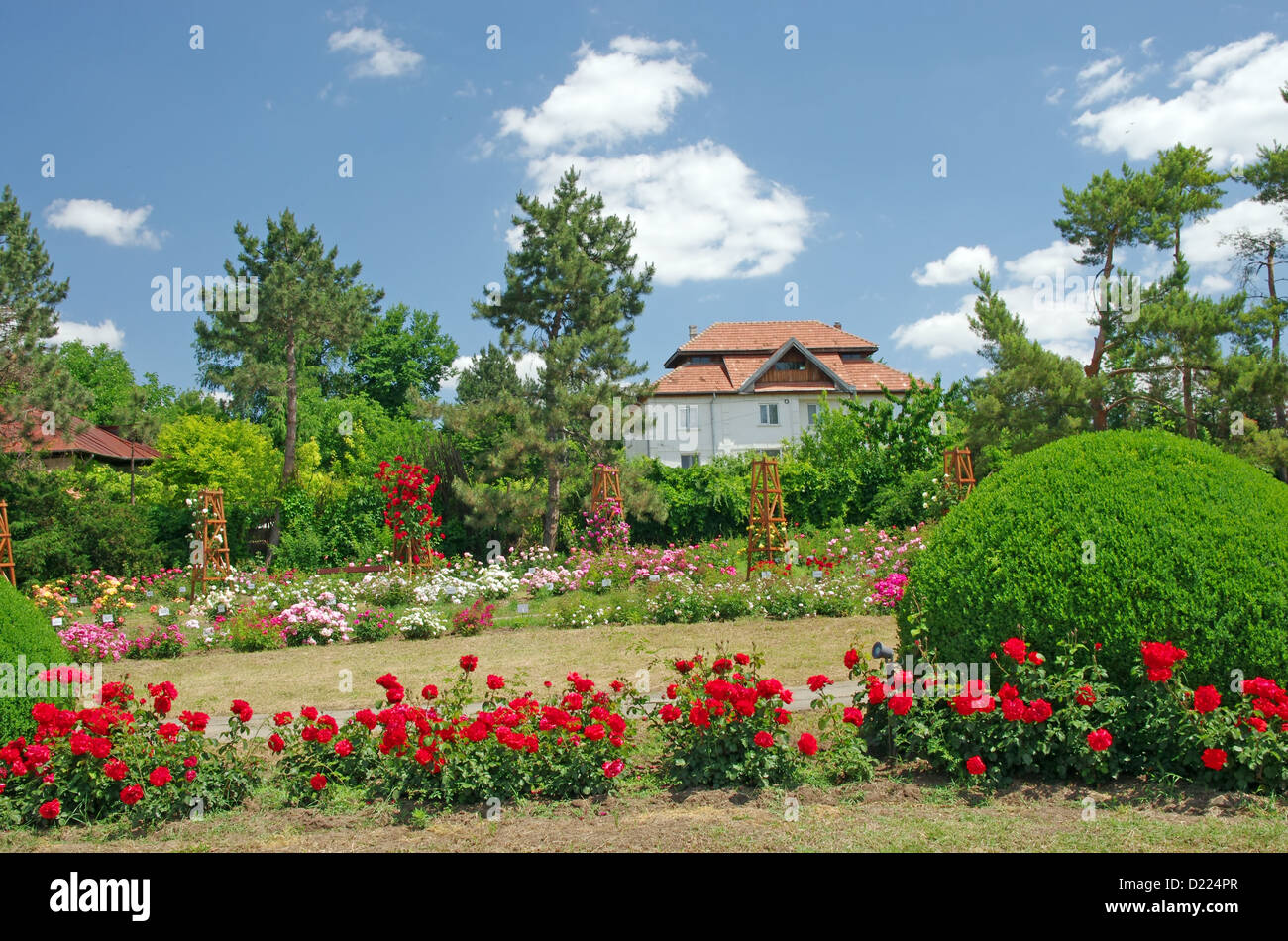 Colorful flowers in a botanical garden Stock Photo - Alamy
