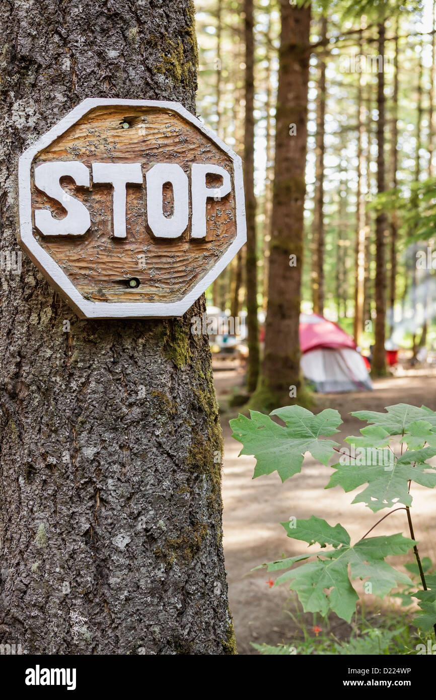 Wooden stop sign on tree trunk in campground, Oregon Stock Photo - Alamy