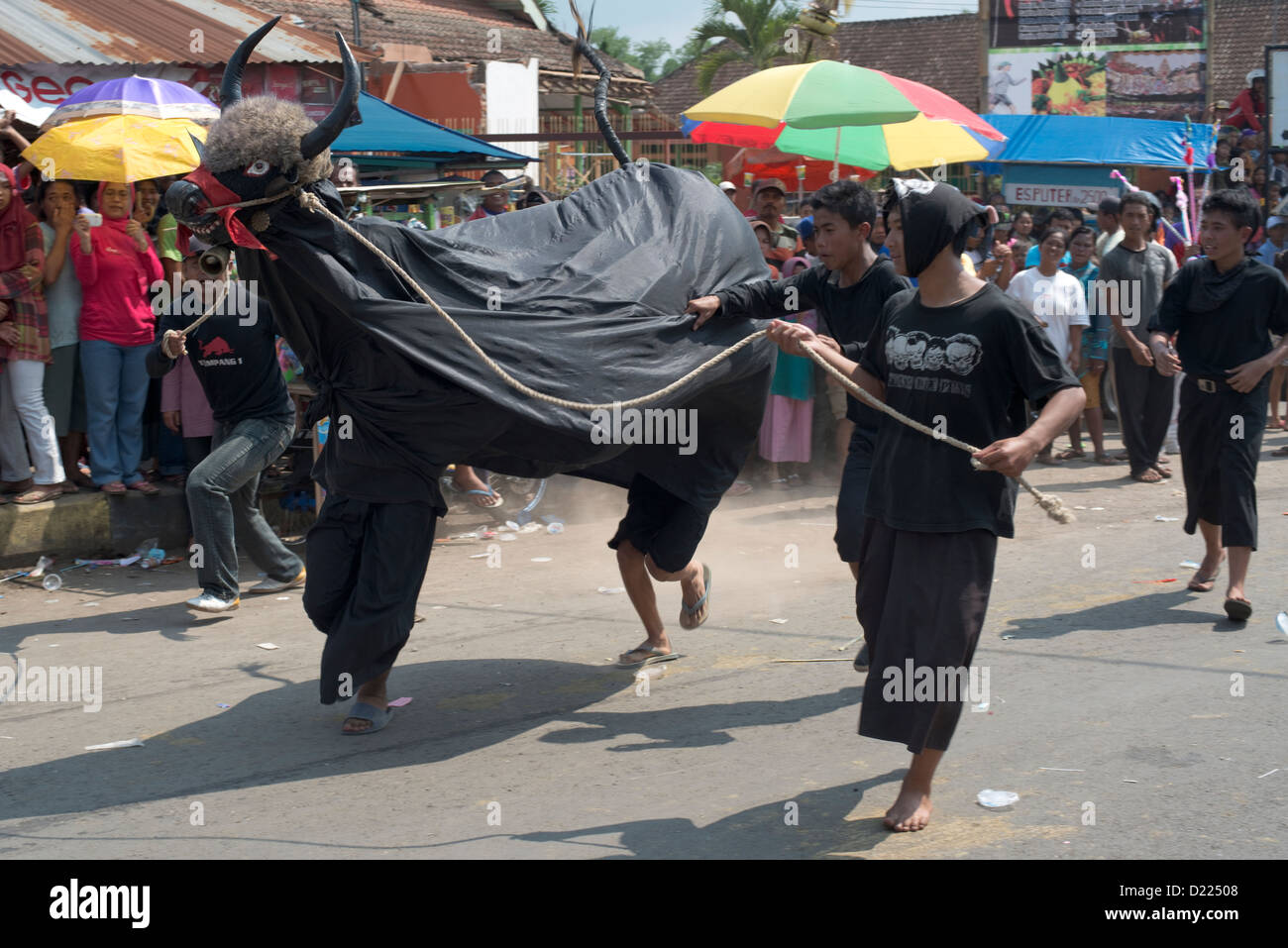 Stampeding cattle hi-res stock photography and images - Alamy