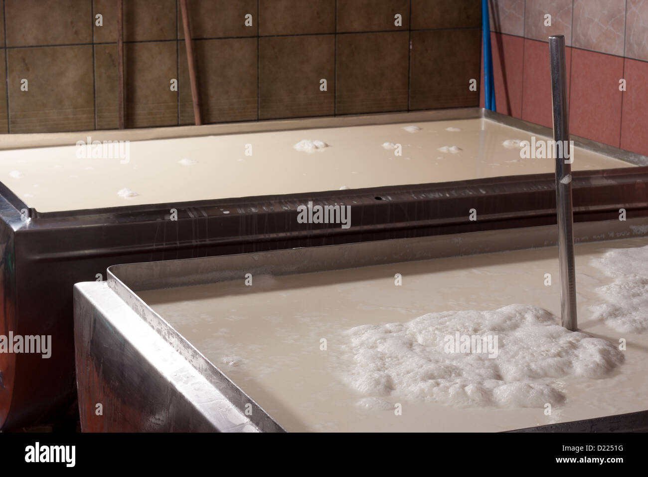 Fermenting milk in stainless steel tanks inside a cheese production ...