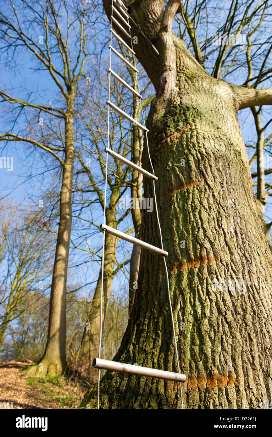 Metal tree ladder hi-res stock photography and images - Alamy