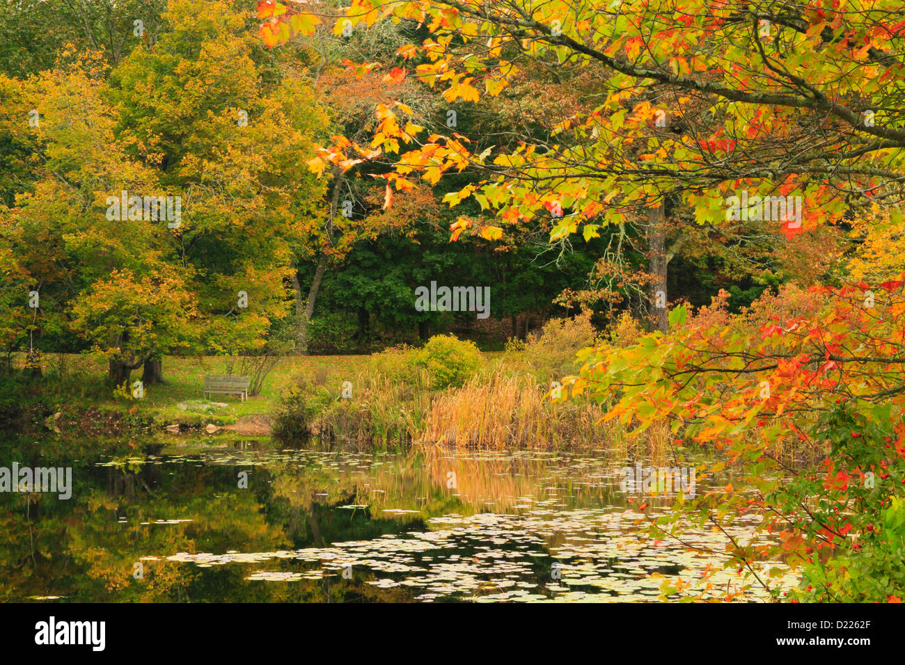 Little Long Pond, Little Long Pond Loop Carriage Road, Acadia National ...