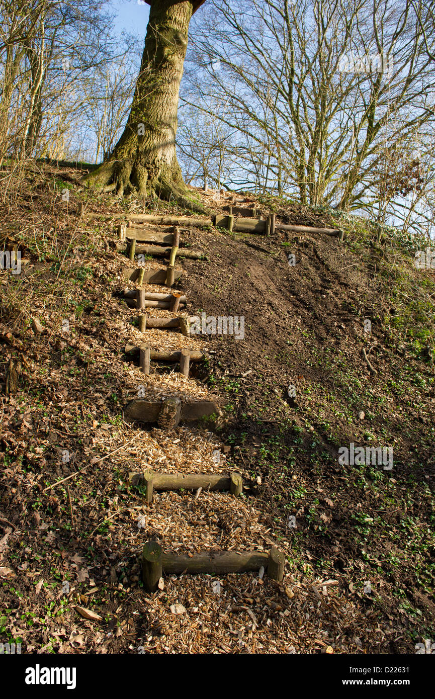 Wooden nature steps upon the hill Stock Photo - Alamy