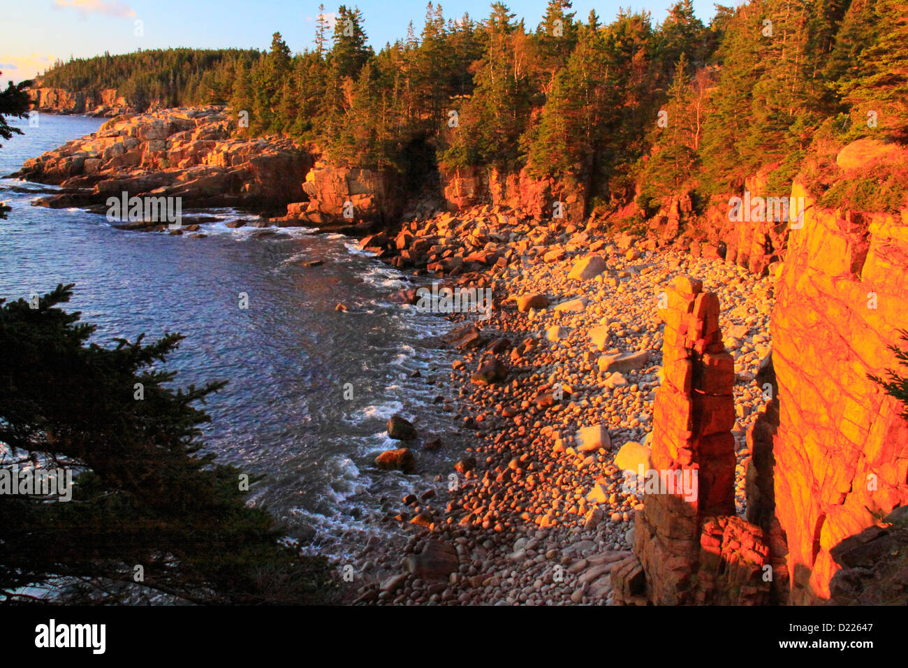 Acadia otter cove trail hi-res stock photography and images - Alamy