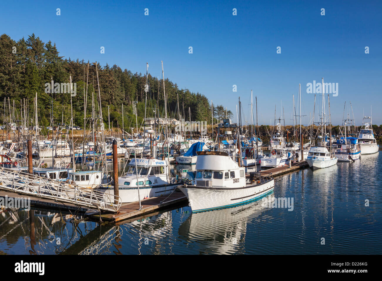 Boats filling the docks of the Charleston Marina, Oregon Stock Photo ...