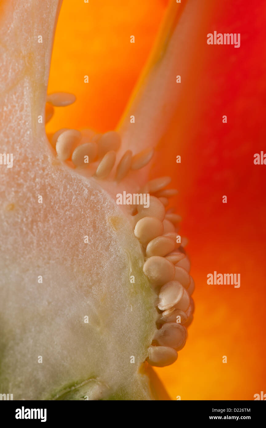Orange bell pepper seeds close up inside sweet capsicum capsicums ...
