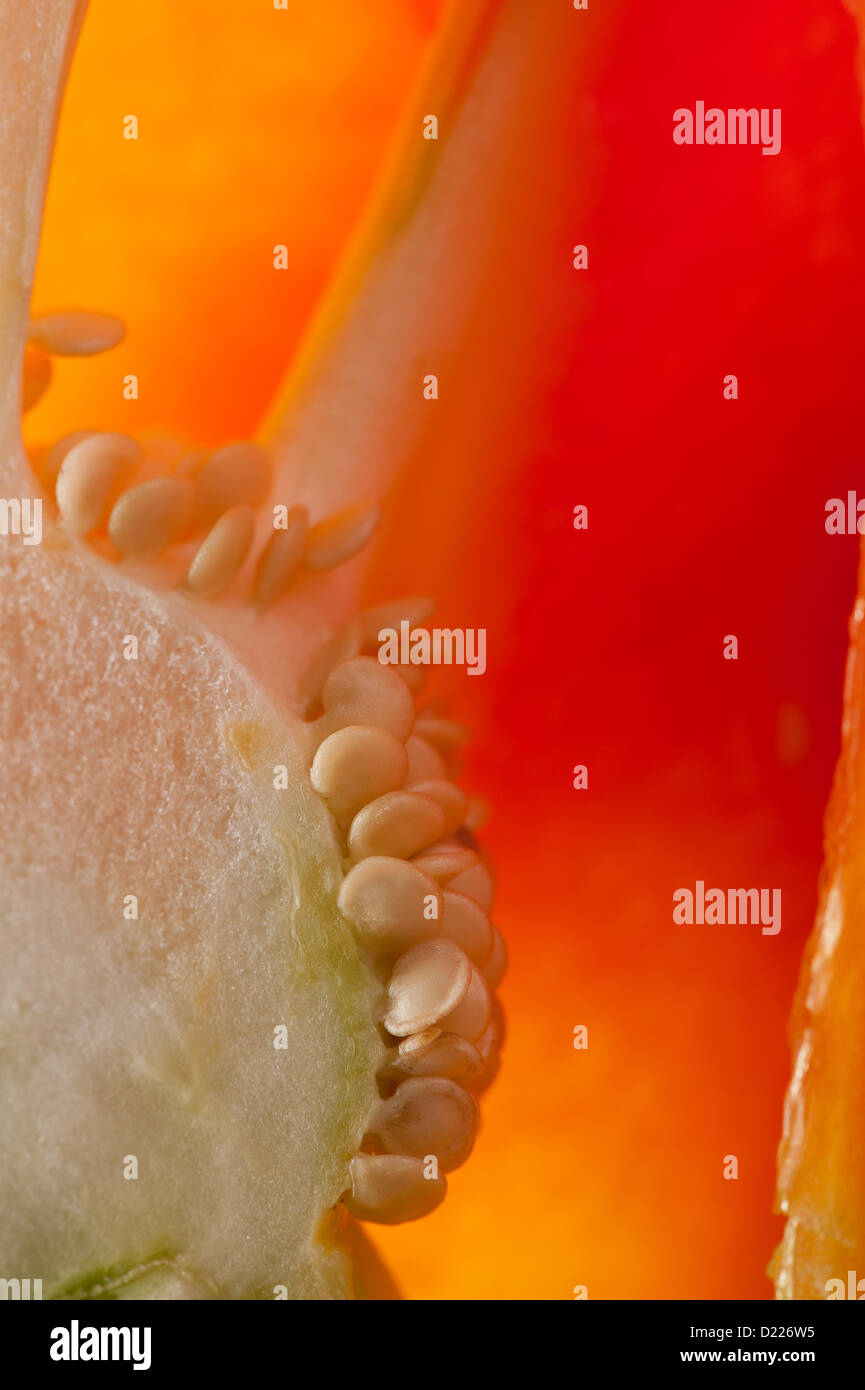 Orange bell pepper seeds close up inside sweet capsicum capsicums ...