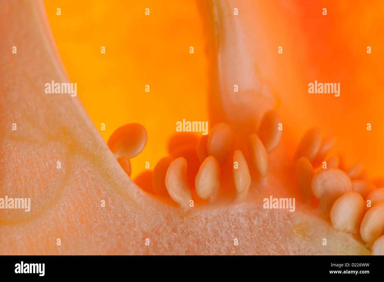 Capsicum lips hi-res stock photography and images - Alamy