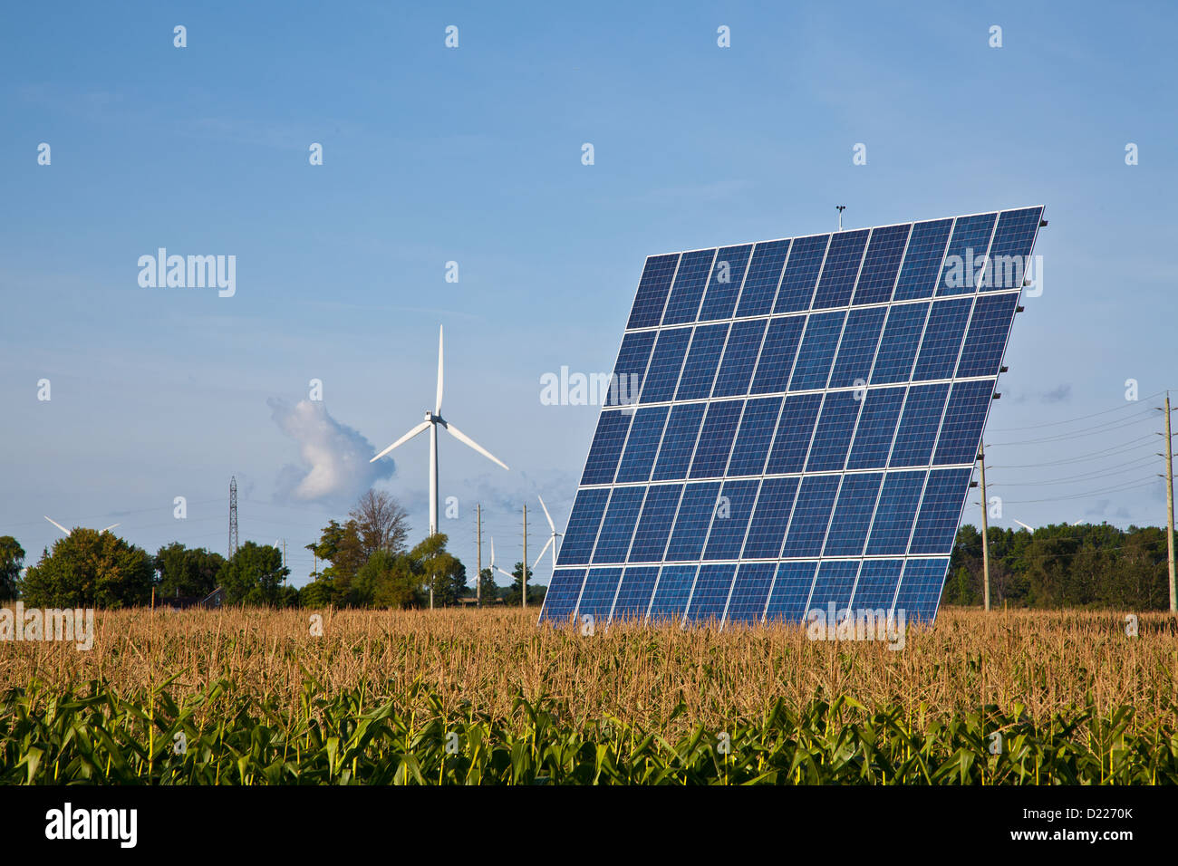 A farmer's solar panel sits in a corn field Stock Photo - Alamy