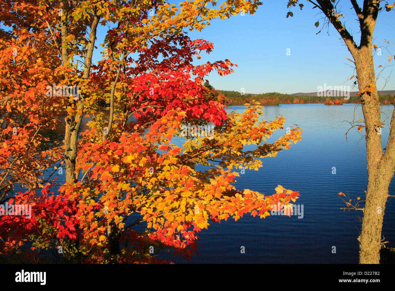 Megunticook Lake High Resolution Stock Photography and Images - Alamy