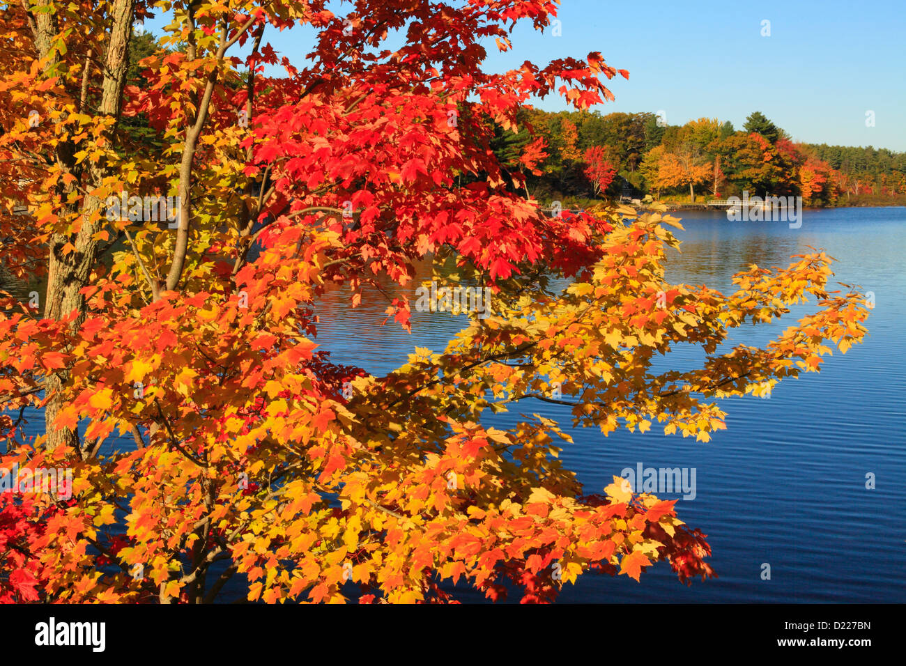 Camden megunticook hi-res stock photography and images - Alamy