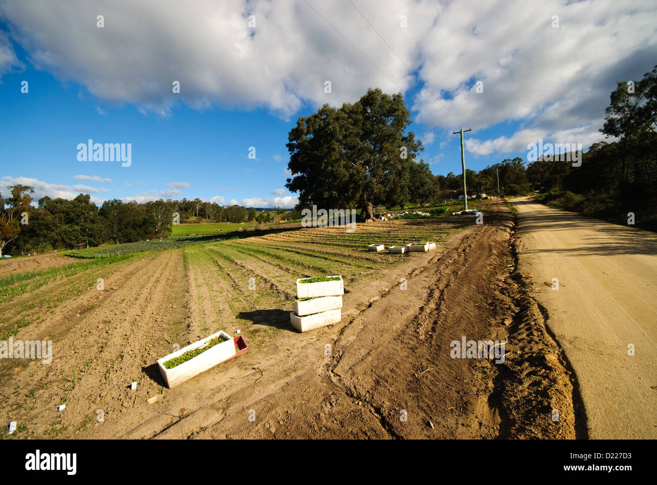Towamba new south wales hi-res stock photography and images - Alamy