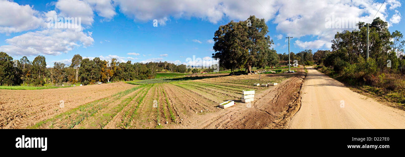 Rural Farm Panorama Towamba Australia // TOWAMBA, Australia - Panorama ...