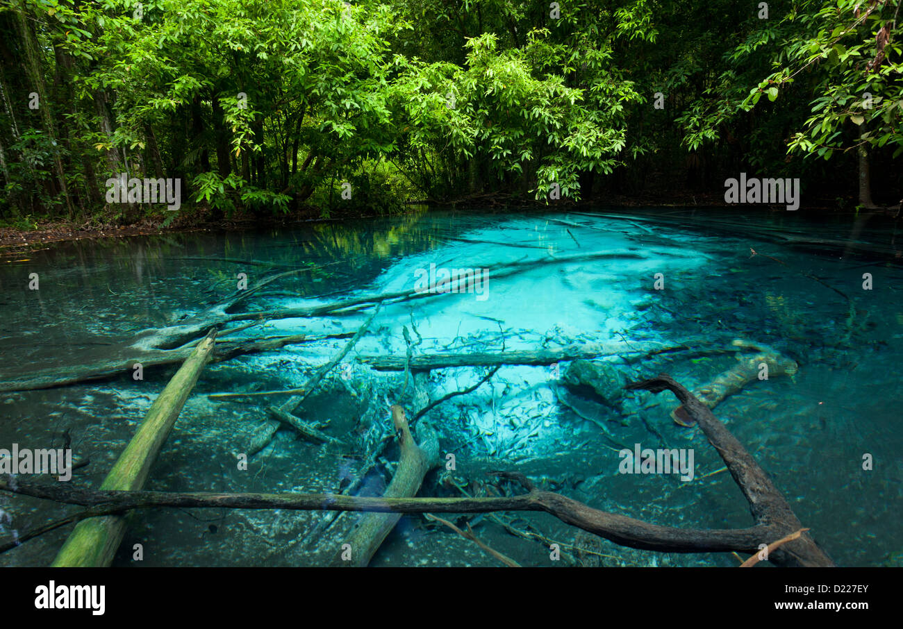 Emerald pool krabi hi-res stock photography and images - Alamy