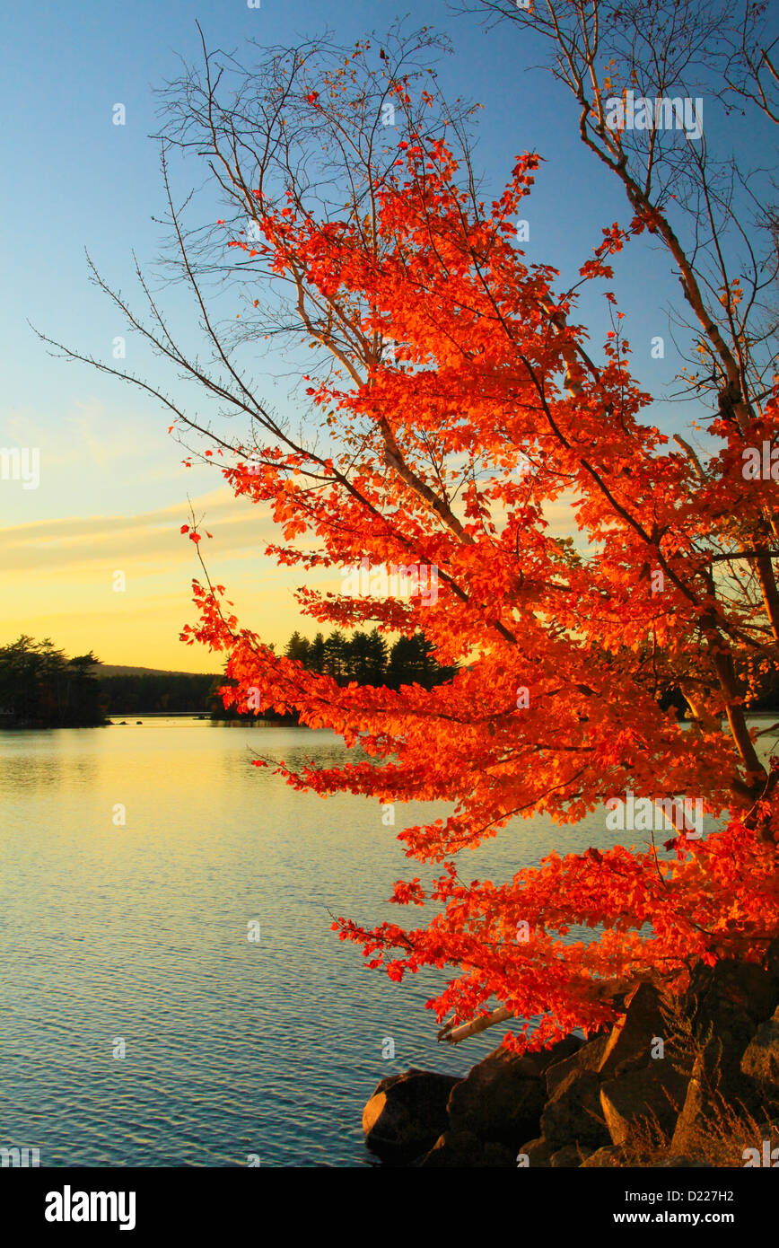 Megunticook Lake, Camden, Maine, USA Stock Photo - Alamy