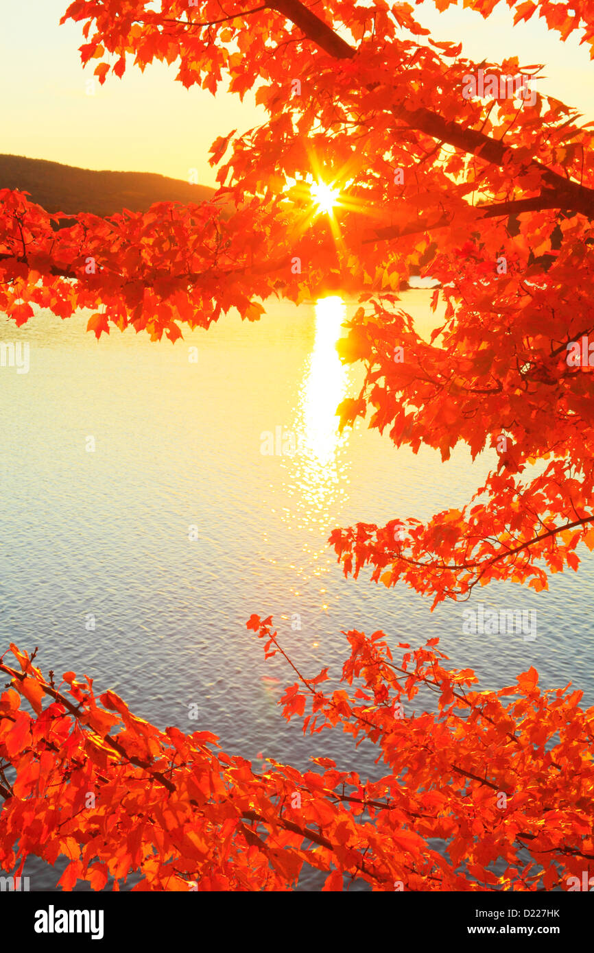 Megunticook Lake, Camden, Maine, USA Stock Photo - Alamy