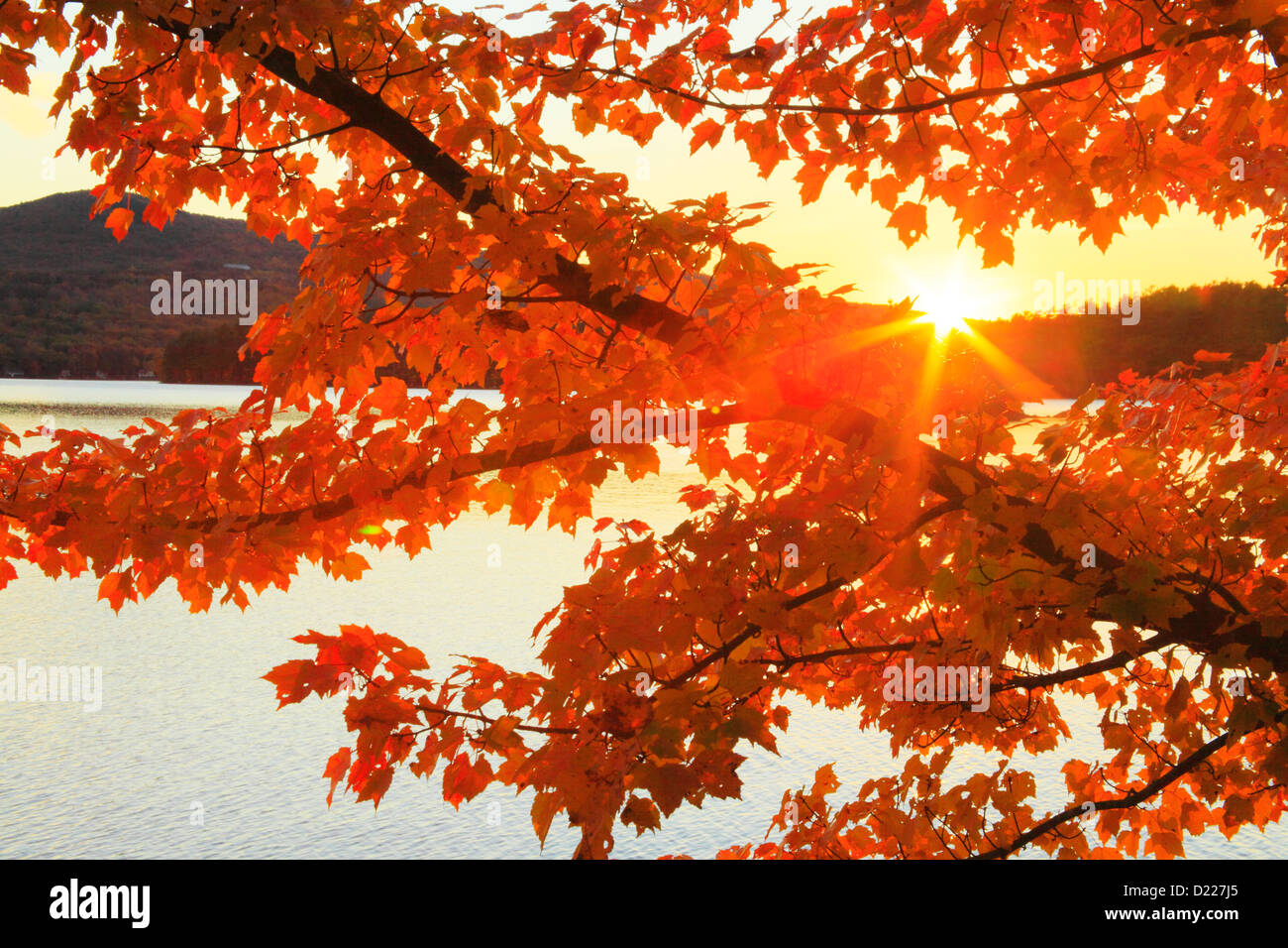 Megunticook Lake High Resolution Stock Photography and Images - Alamy