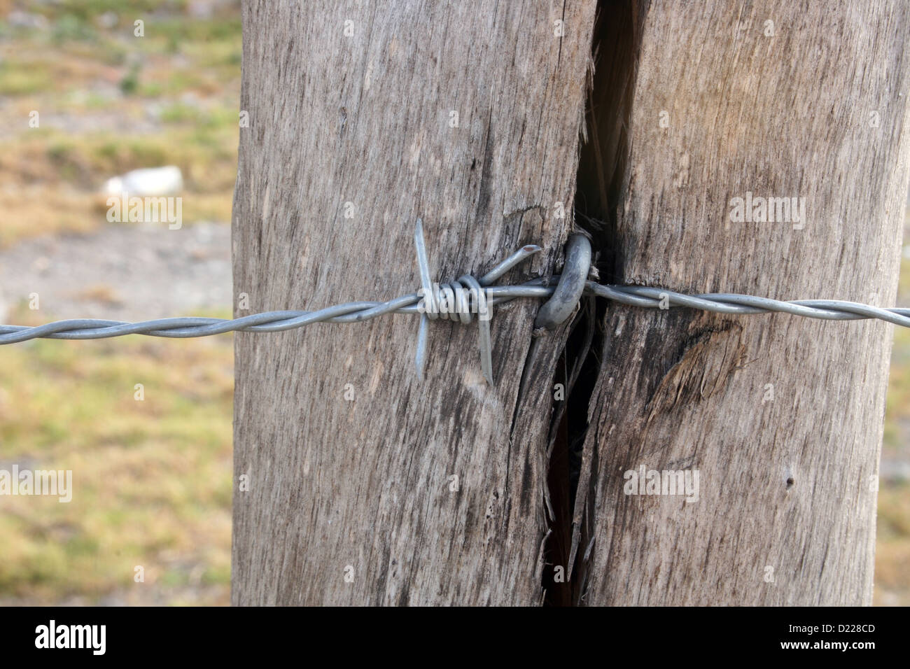 A strand of barbed wire attached to a wooden post on a fence in a ...