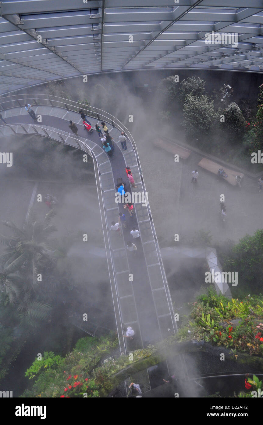 Cloud forest walkway at Gardens by the Bay, Singapore Stock Photo - Alamy