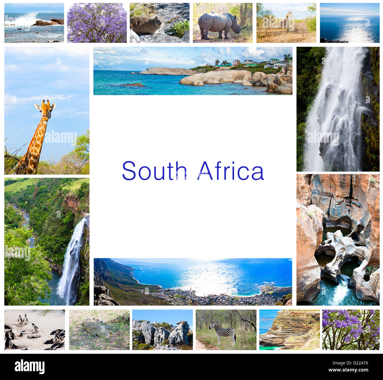 African wild animals collage fauna diversity in Kruger Park natural ...