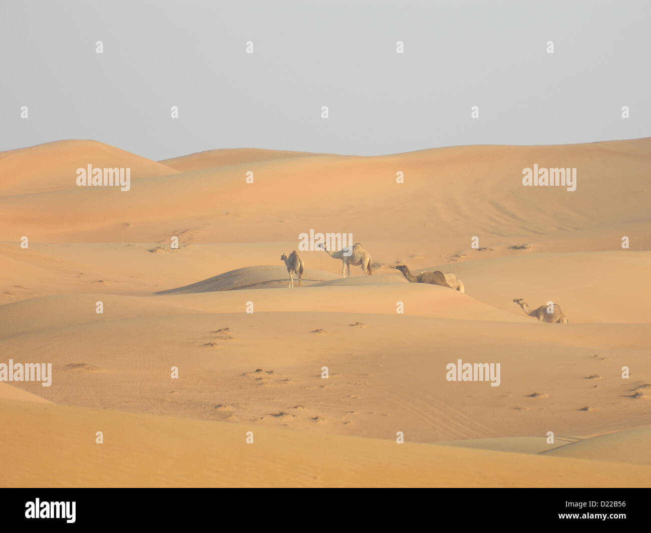 outdoor shot of desert Stock Photo - Alamy