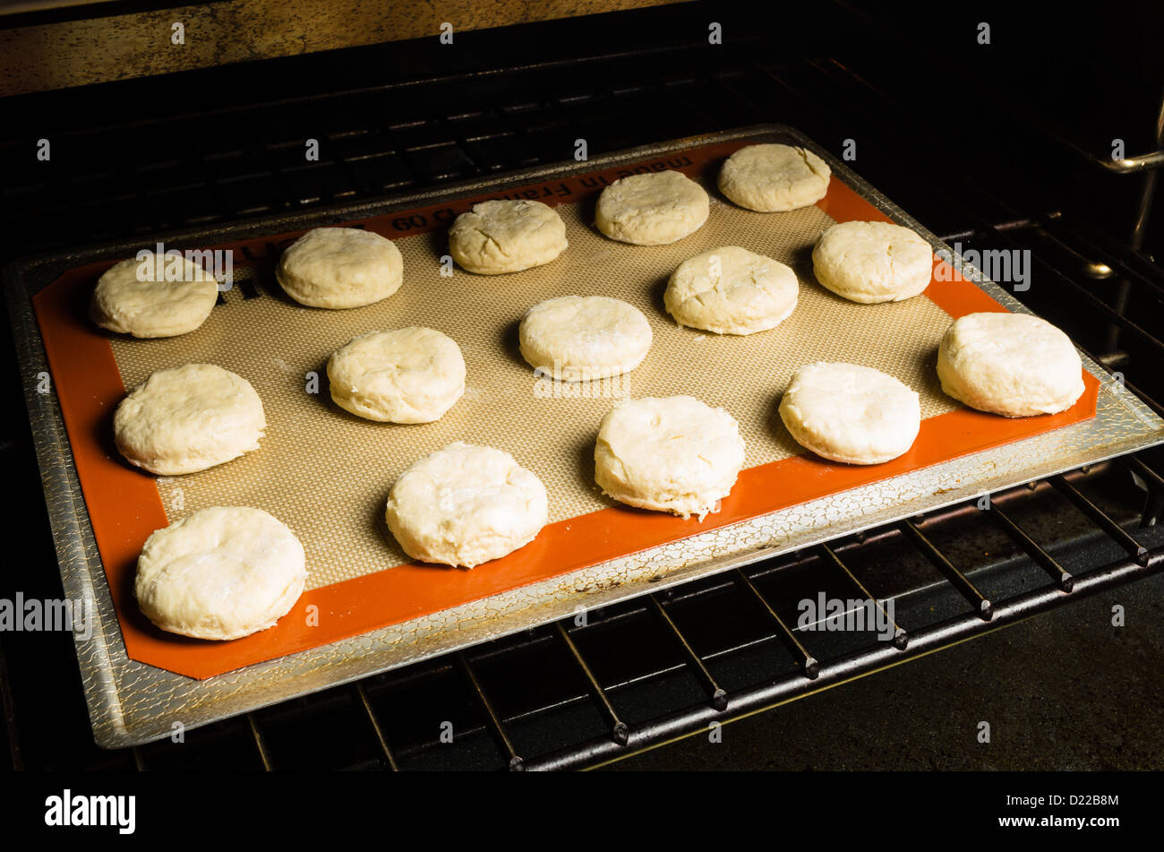 A tray of raw biscuit blanks going into the oven Stock Photo - Alamy