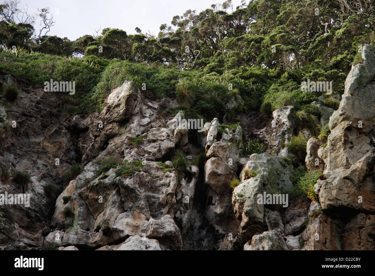 Rock formation and vegetation on a cliff above a dive site called ...