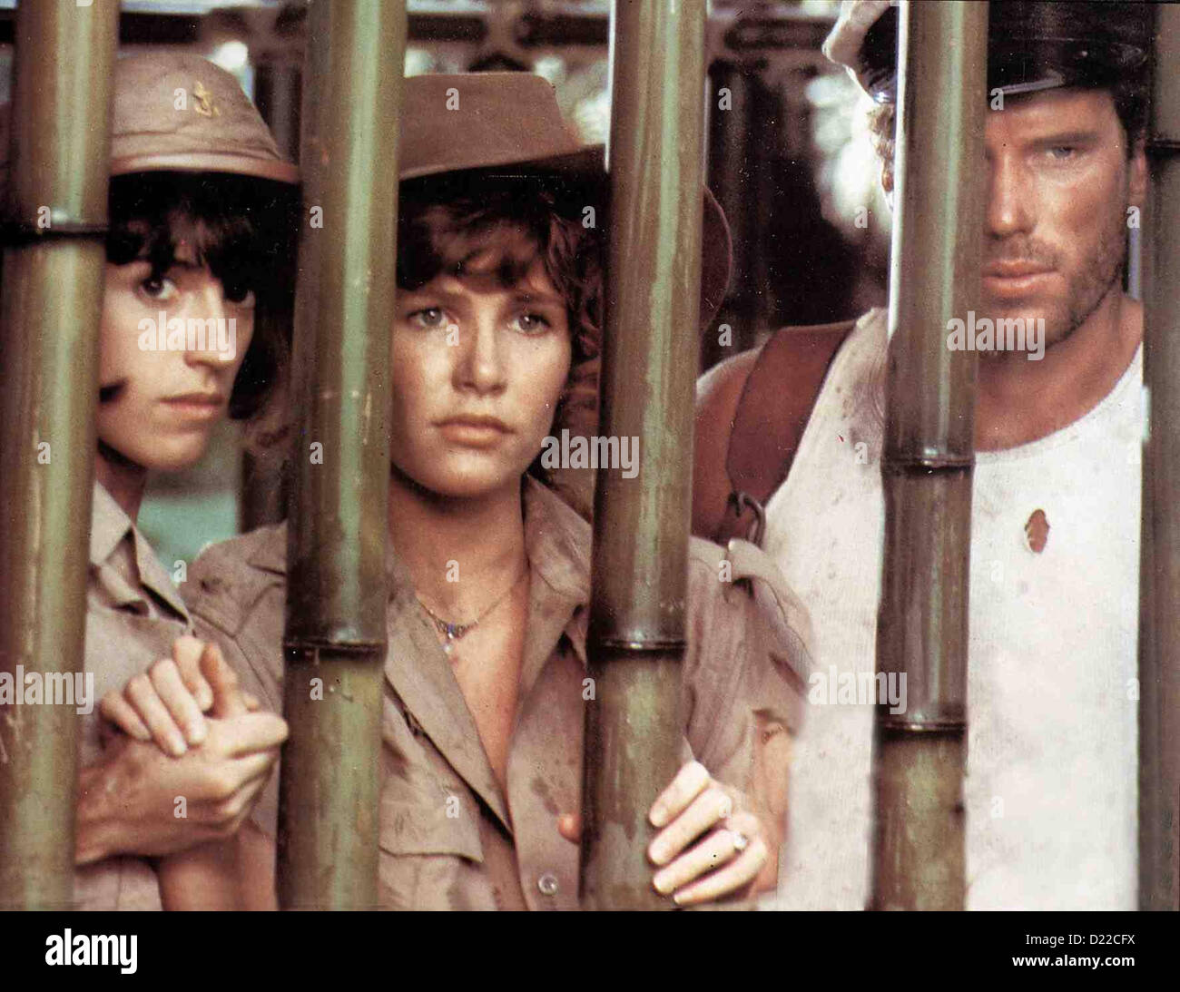 Tawny kitaen hi-res stock photography and images - Alamy