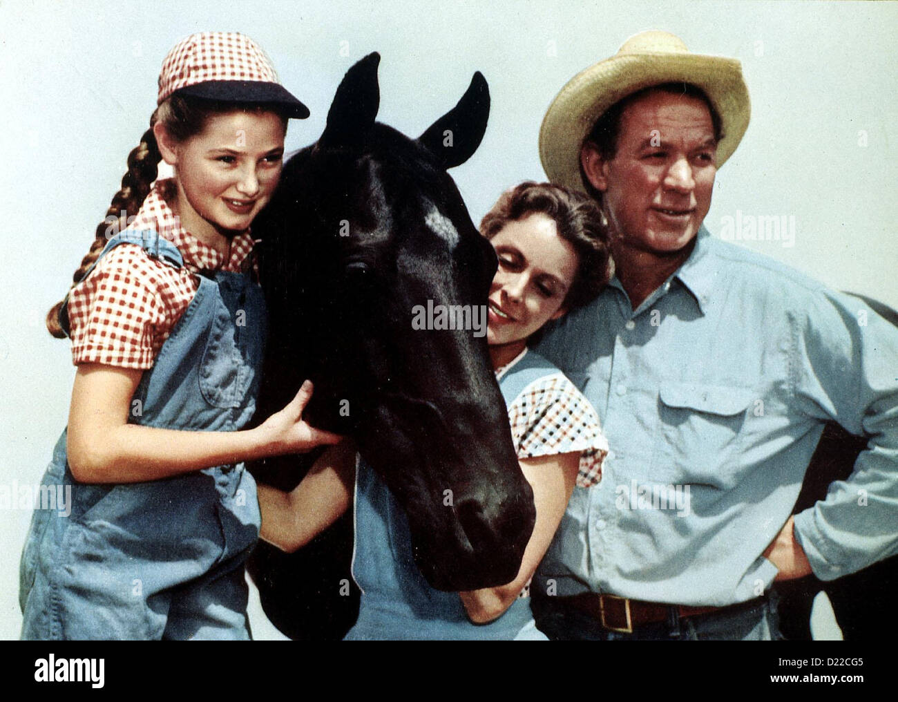 Treue Gypsy Colt Donna Corcoron, Frances Dee, Ward Bond Die kleine Meg ...
