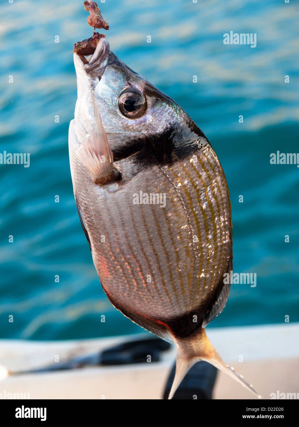 Sun on the hook hi-res stock photography and images - Alamy