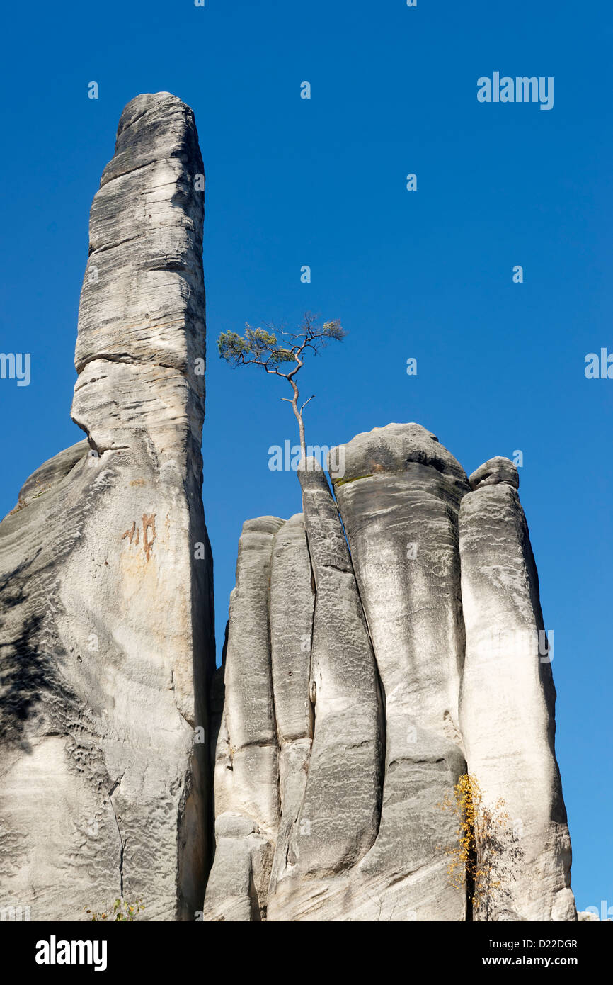 Rock towers, Adrspach Rocks, East Bohemia, Czech Republic Stock Photo ...