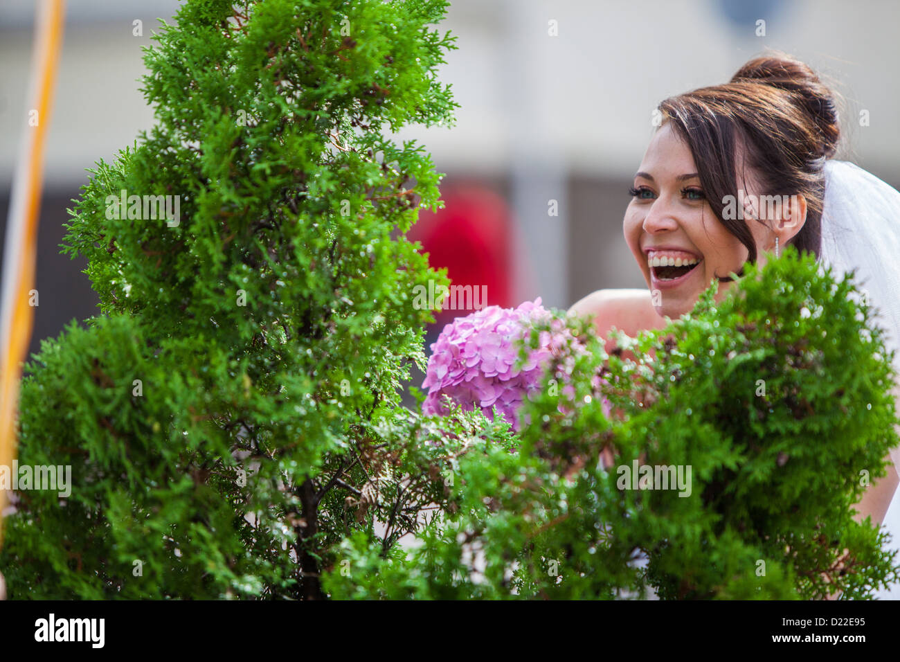 Young bride on her wedding day Stock Photo - Alamy