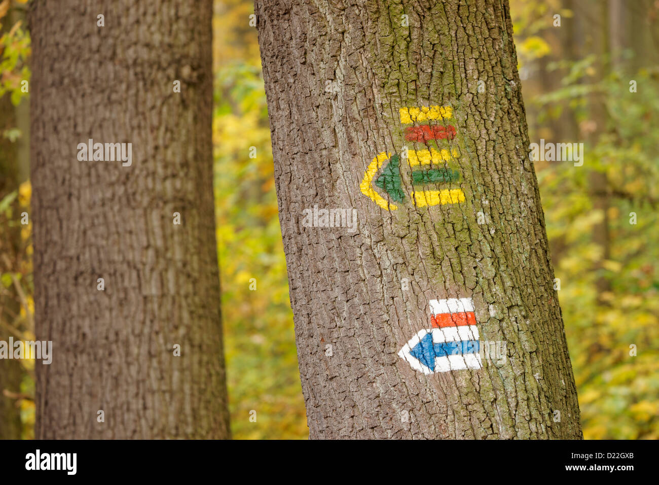 Arrow waymarks at Hruboskalsko, Cesky raj, East Bohemia, Czech Republic ...