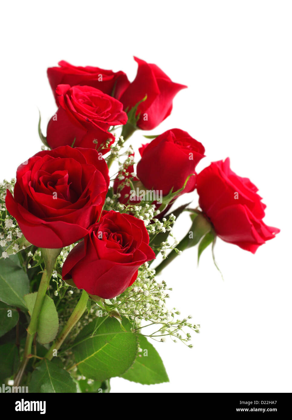 Red roses bouquet on white background Stock Photo - Alamy