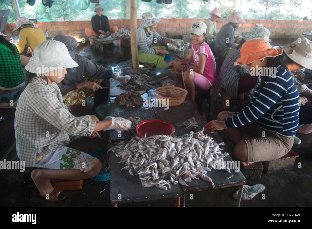 Vietnamese women busily gut and prepare the fish inside the Duy Hai ...